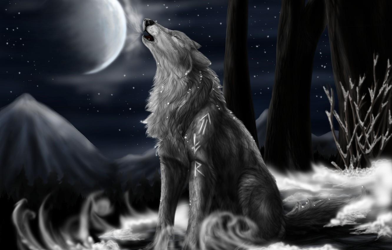 Flying Wolf Wallpapers - Top Free Flying Wolf Backgrounds - WallpaperAccess