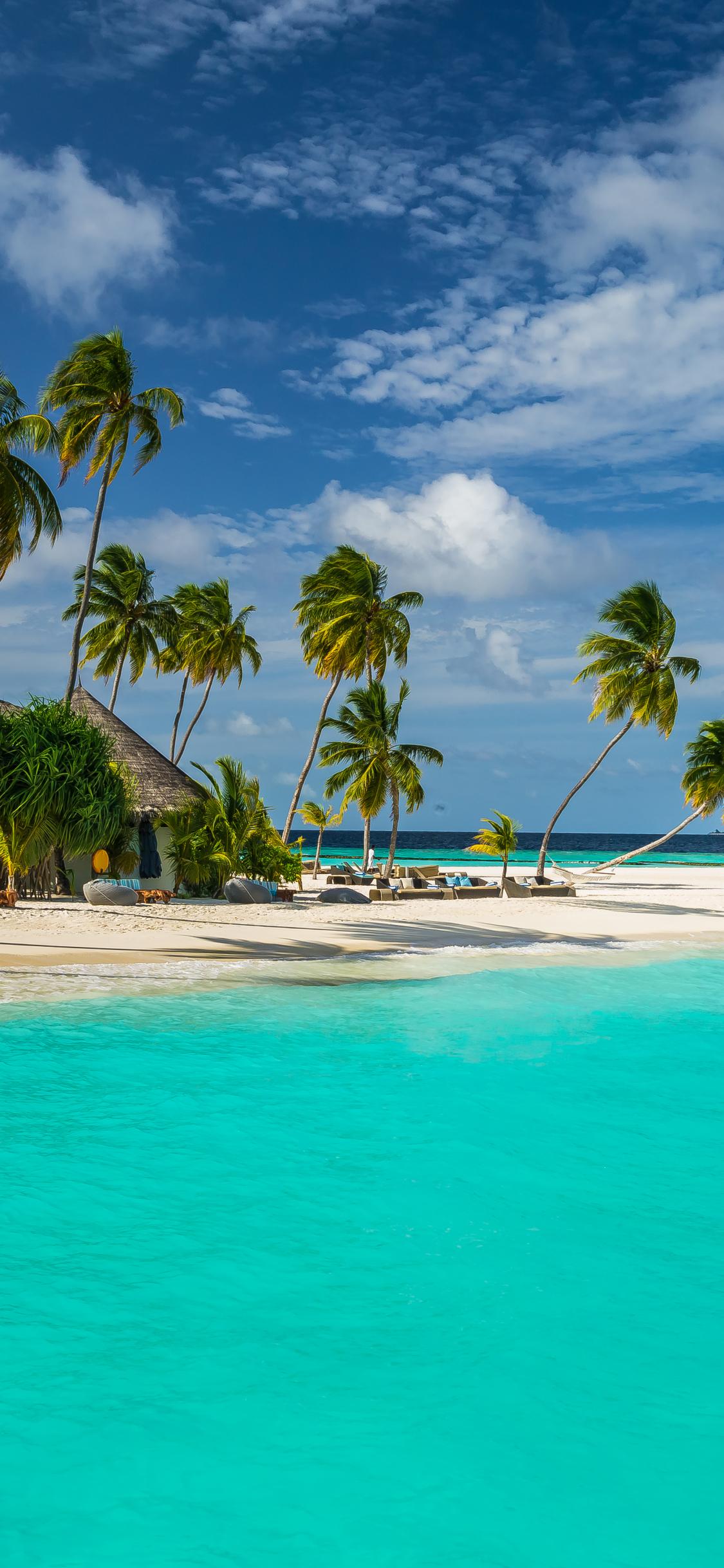 Tropical Phone Wallpapers - Top Free Tropical Phone Backgrounds ...