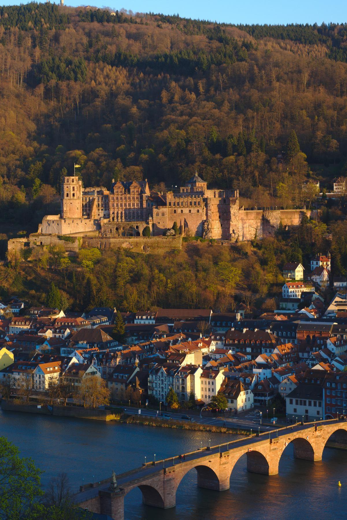Heidelberg Castle Wallpapers - Top Free Heidelberg Castle Backgrounds ...
