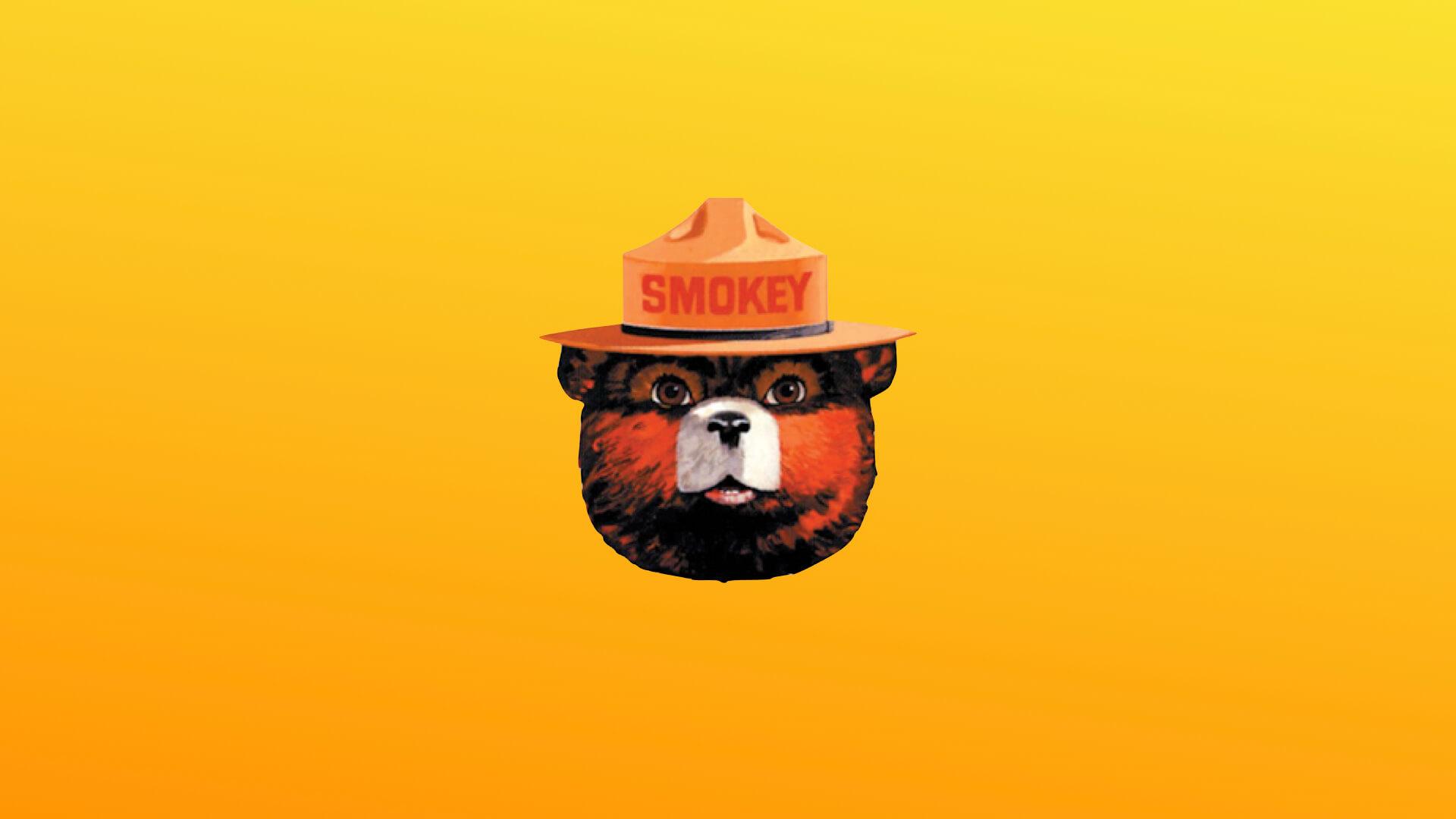 Smokey the Bear Wallpapers - Top Free Smokey the Bear Backgrounds ...