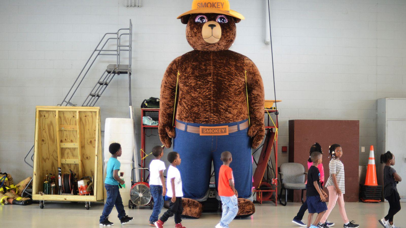 Smokey the Bear Wallpapers - Top Free Smokey the Bear Backgrounds ...