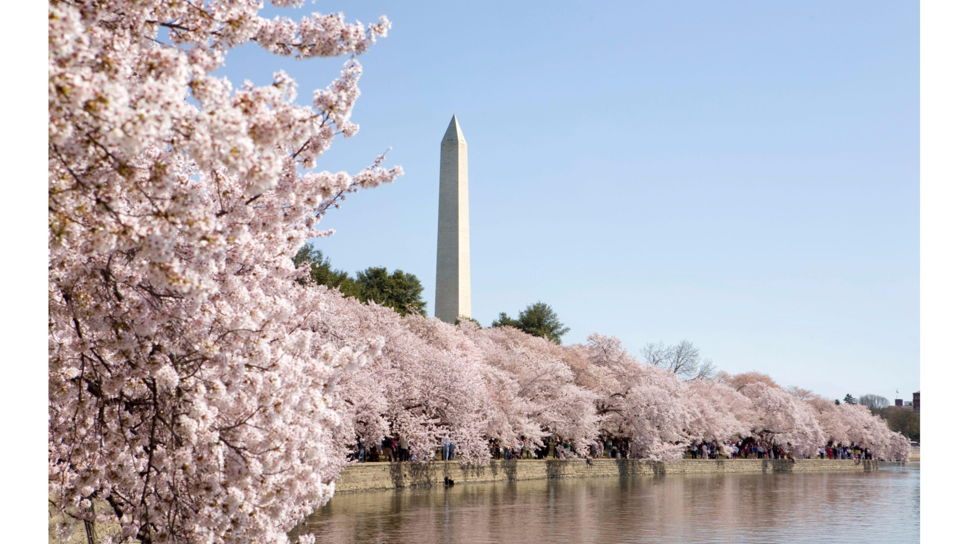 DC Spring Desktop Wallpapers - Top Free DC Spring Desktop Backgrounds ...
