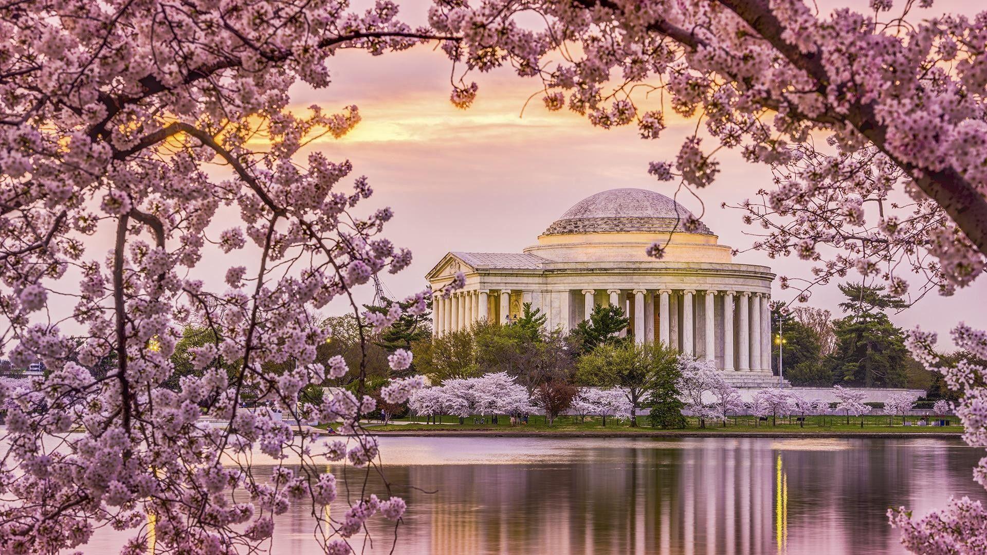 DC Spring Desktop Wallpapers - Top Free DC Spring Desktop Backgrounds ...