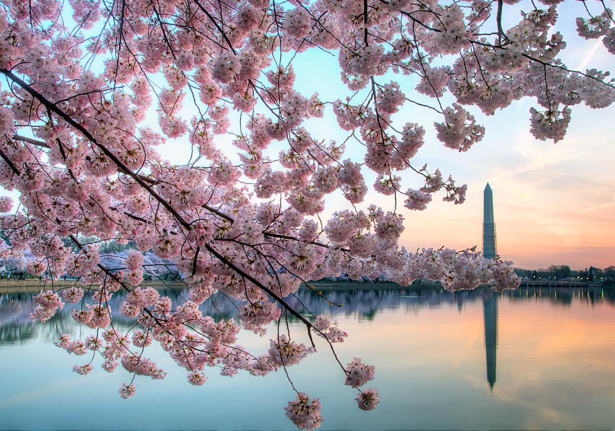 DC Spring Desktop Wallpapers - Top Free DC Spring Desktop Backgrounds ...