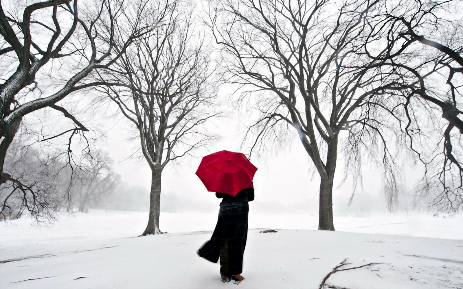Alone in Snow Wallpapers - Top Free Alone in Snow Backgrounds ...