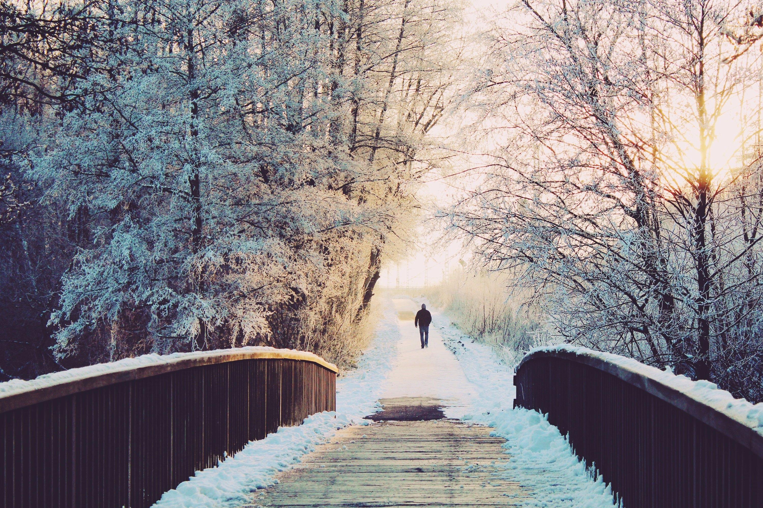 Alone in Snow Wallpapers - Top Free Alone in Snow Backgrounds ...