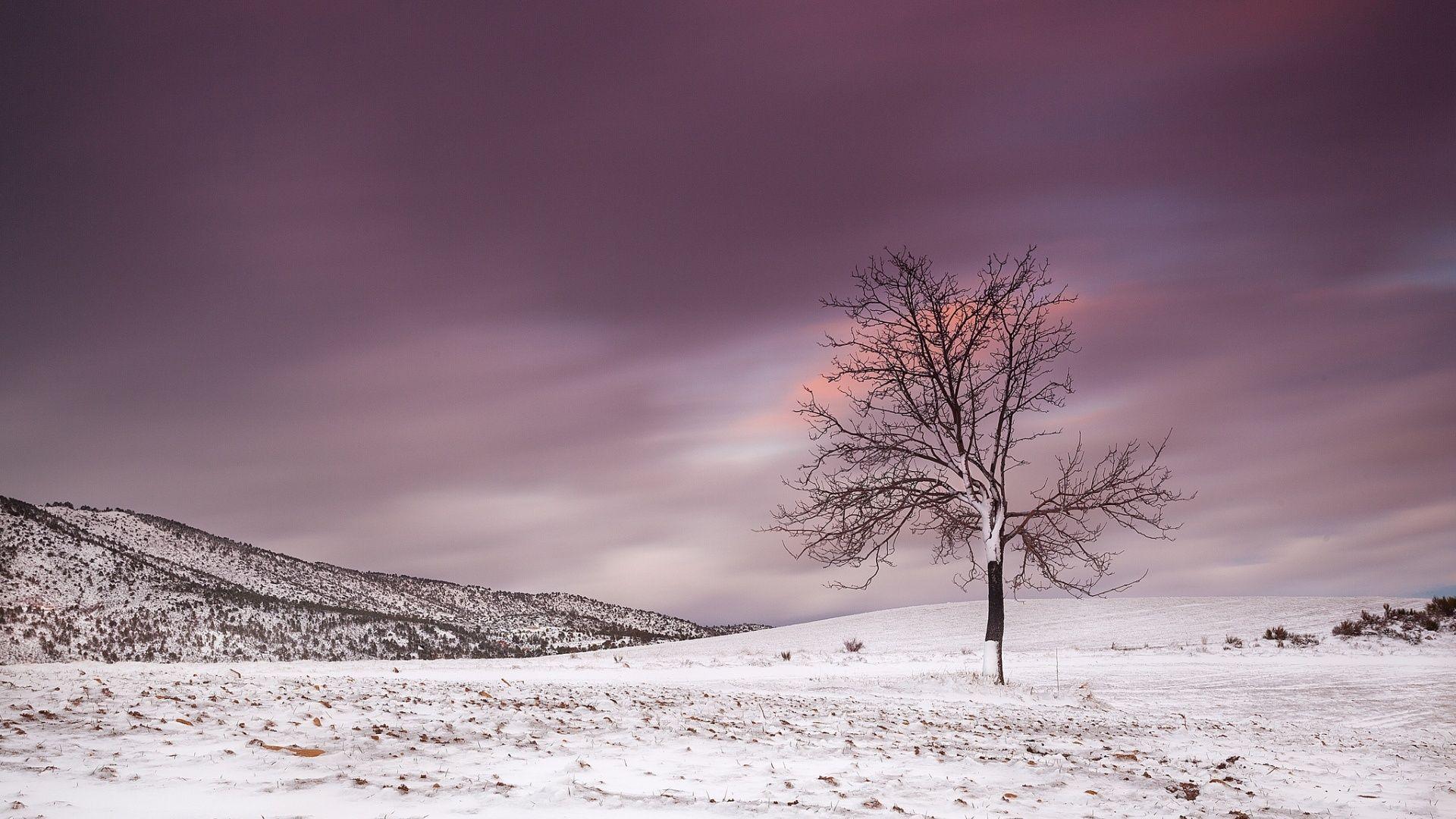 Alone in Snow Wallpapers - Top Free Alone in Snow Backgrounds ...
