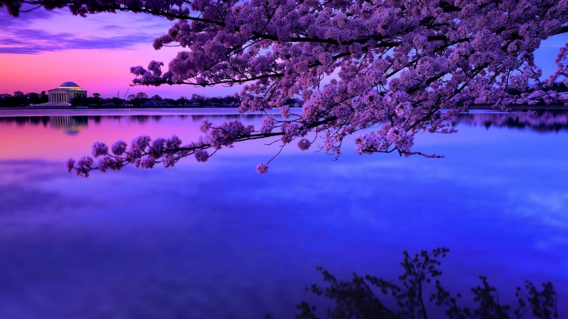 DC Spring Desktop Wallpapers - Top Free DC Spring Desktop Backgrounds ...