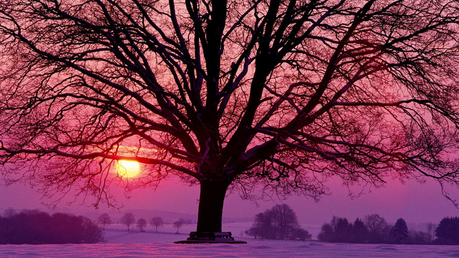 February Winter Wallpapers - Top Free February Winter Backgrounds ...