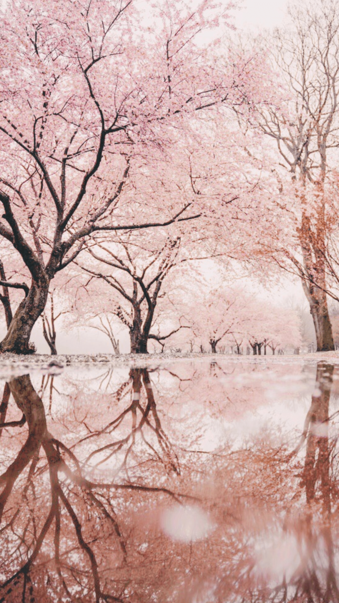 February Winter Wallpapers - Top Free February Winter Backgrounds ...