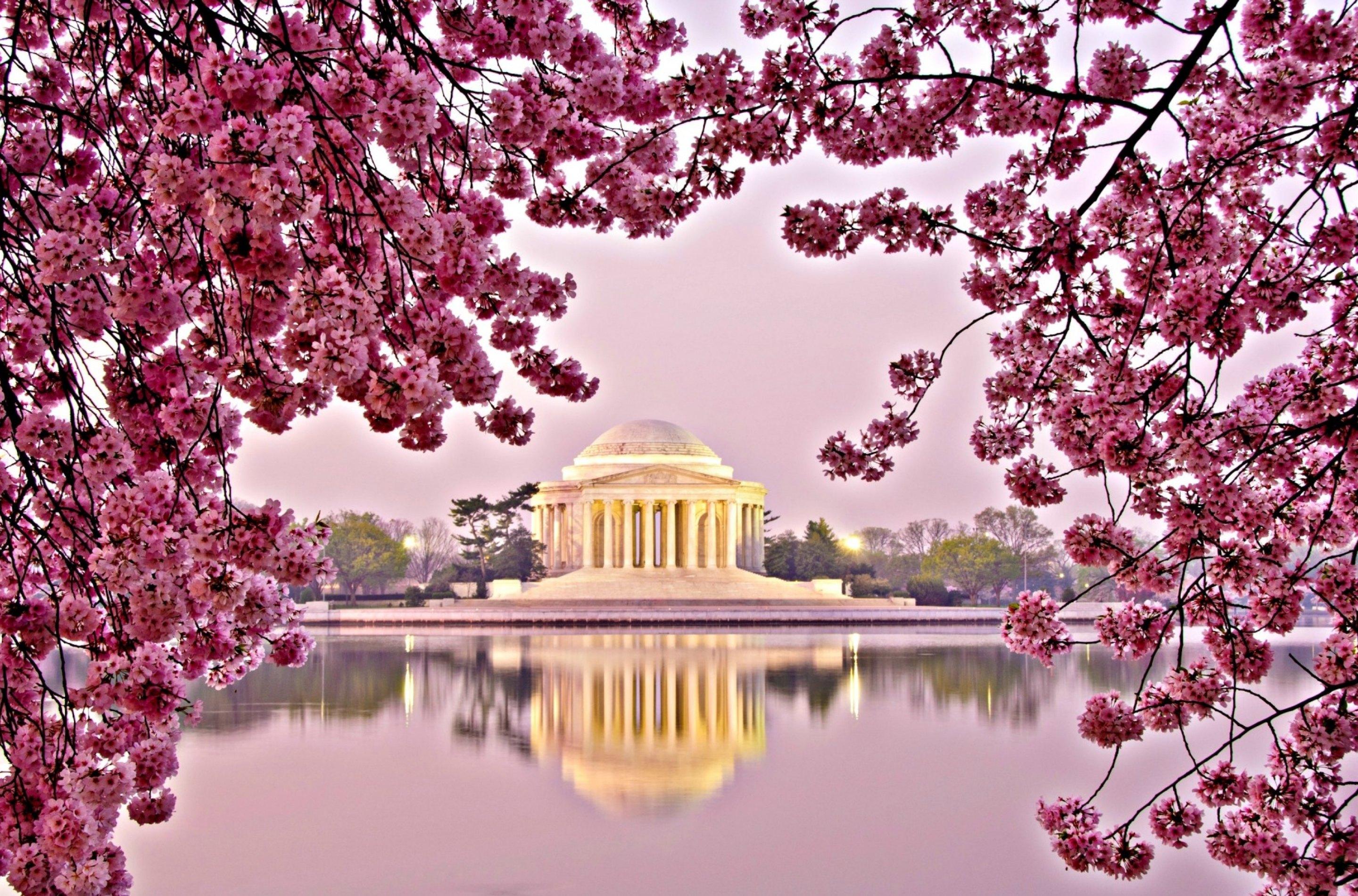 DC Spring Desktop Wallpapers - Top Free DC Spring Desktop Backgrounds ...