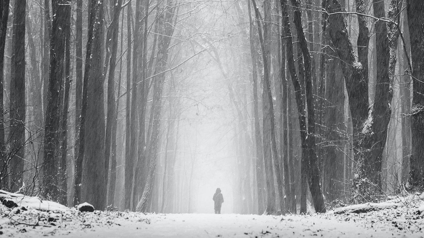 Alone in Snow Wallpapers - Top Free Alone in Snow Backgrounds ...