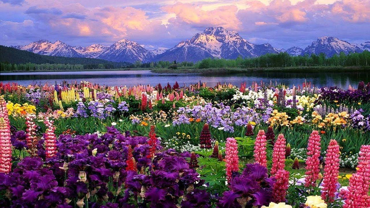 Breathtaking Nature Wallpapers - Top Free Breathtaking Nature ...