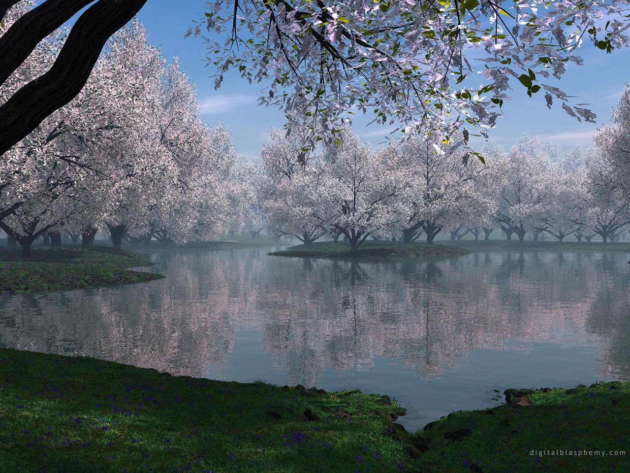 National Geographic Wallpaper Spring