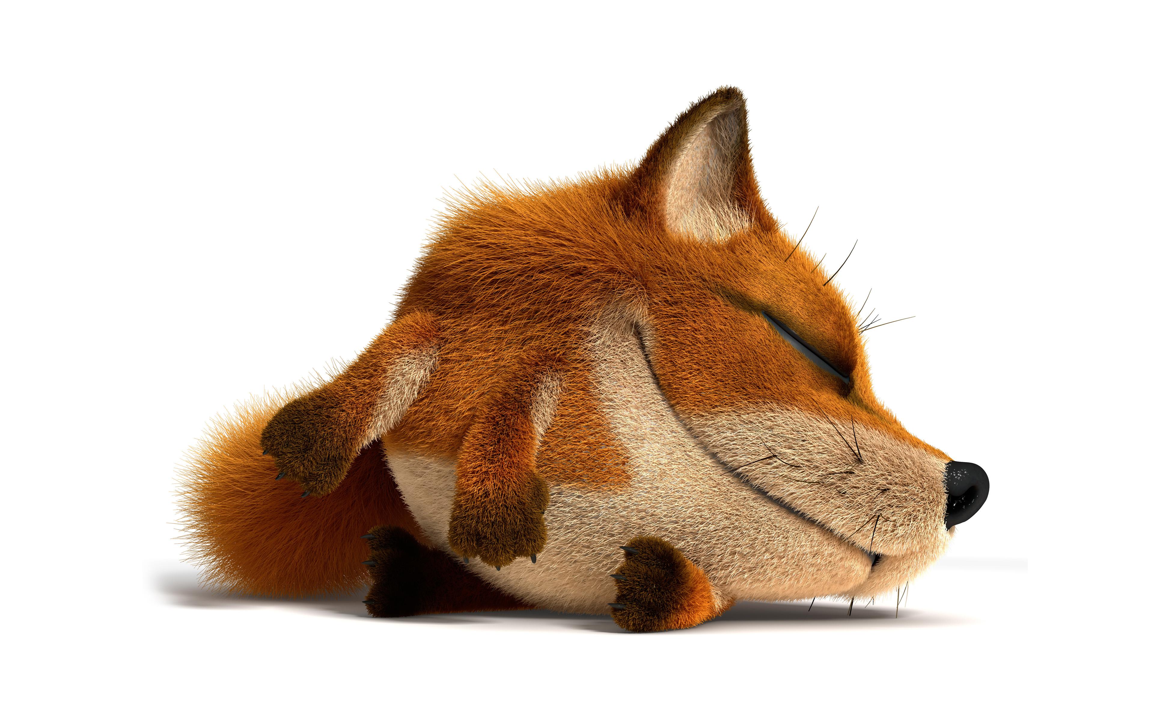 Sleeping Fox Wallpapers - Top Free Sleeping Fox Backgrounds ...