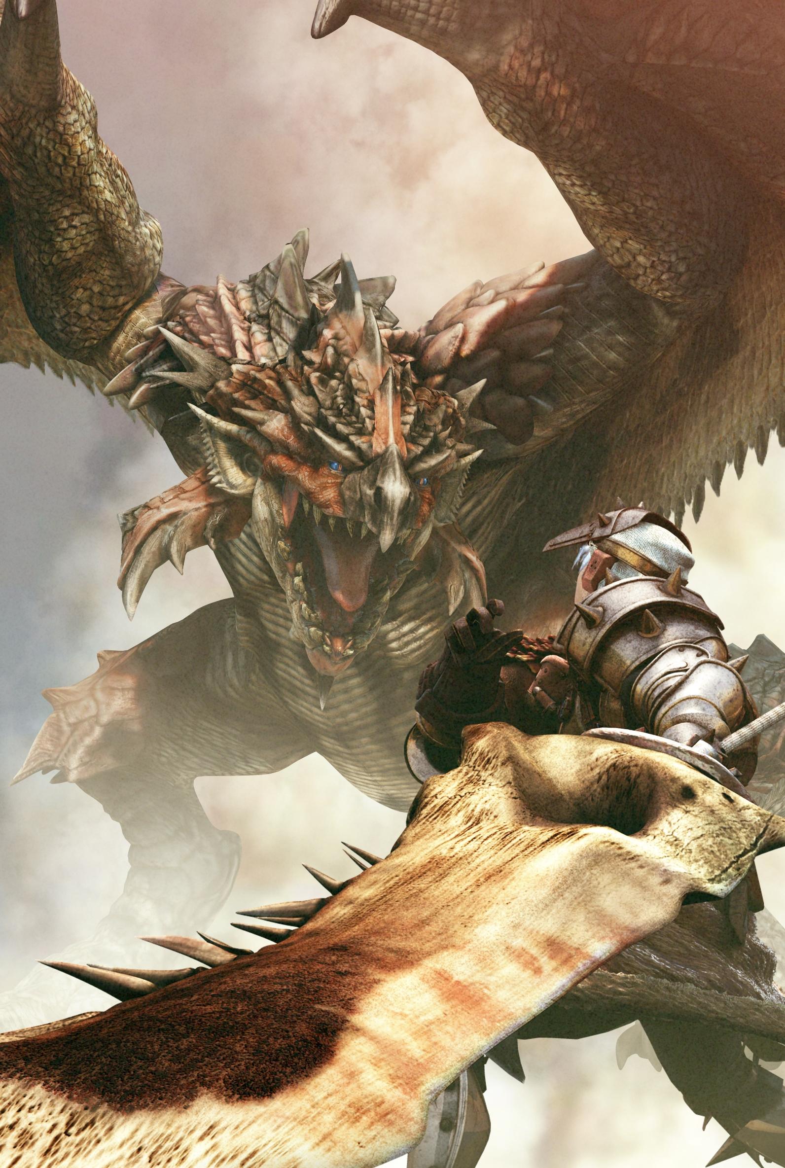 Monster Hunter Rathalos Wallpapers - Top Free Monster Hunter Rathalos ...