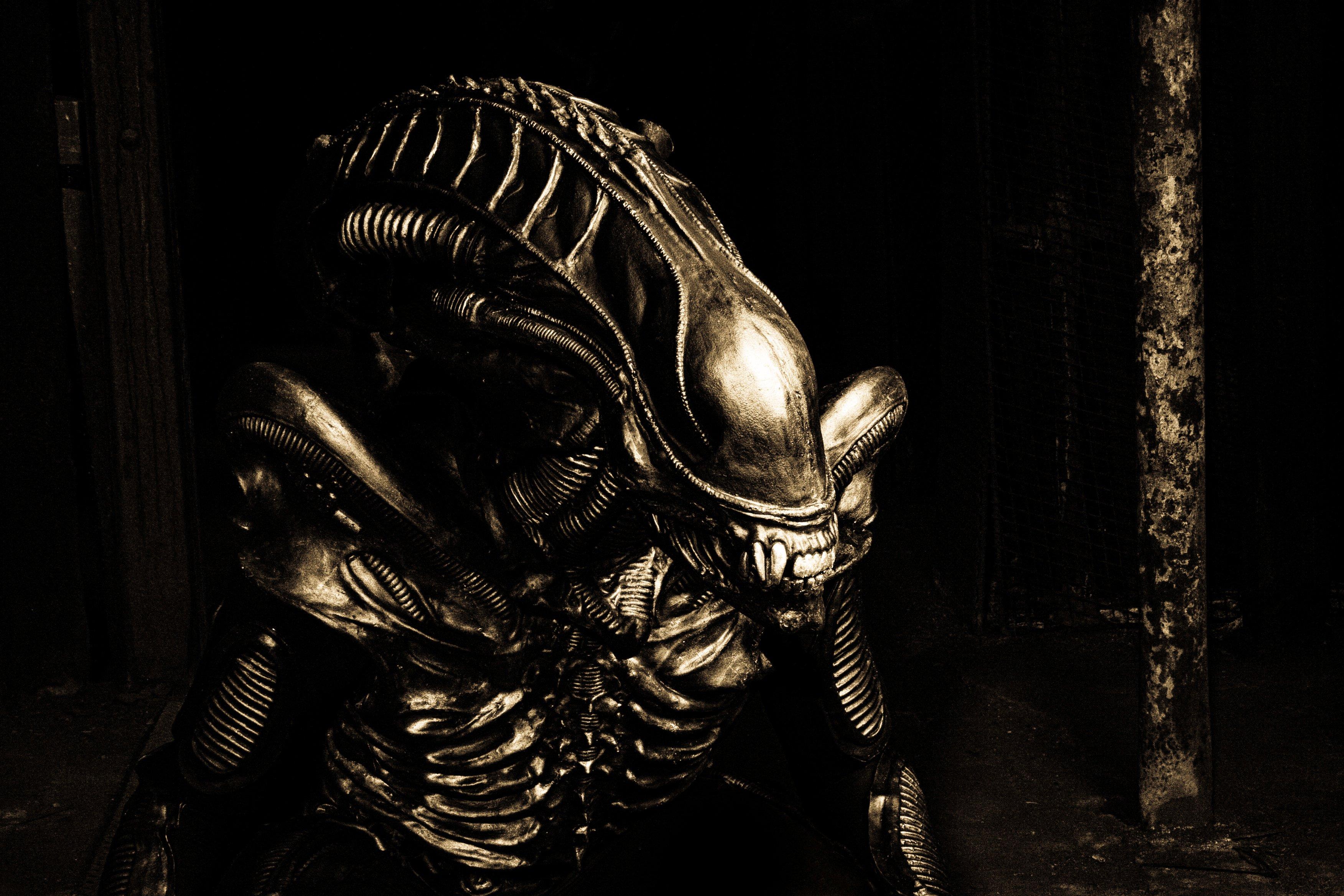 Giger Alien Wallpapers - Top Free Giger Alien Backgrounds - WallpaperAccess