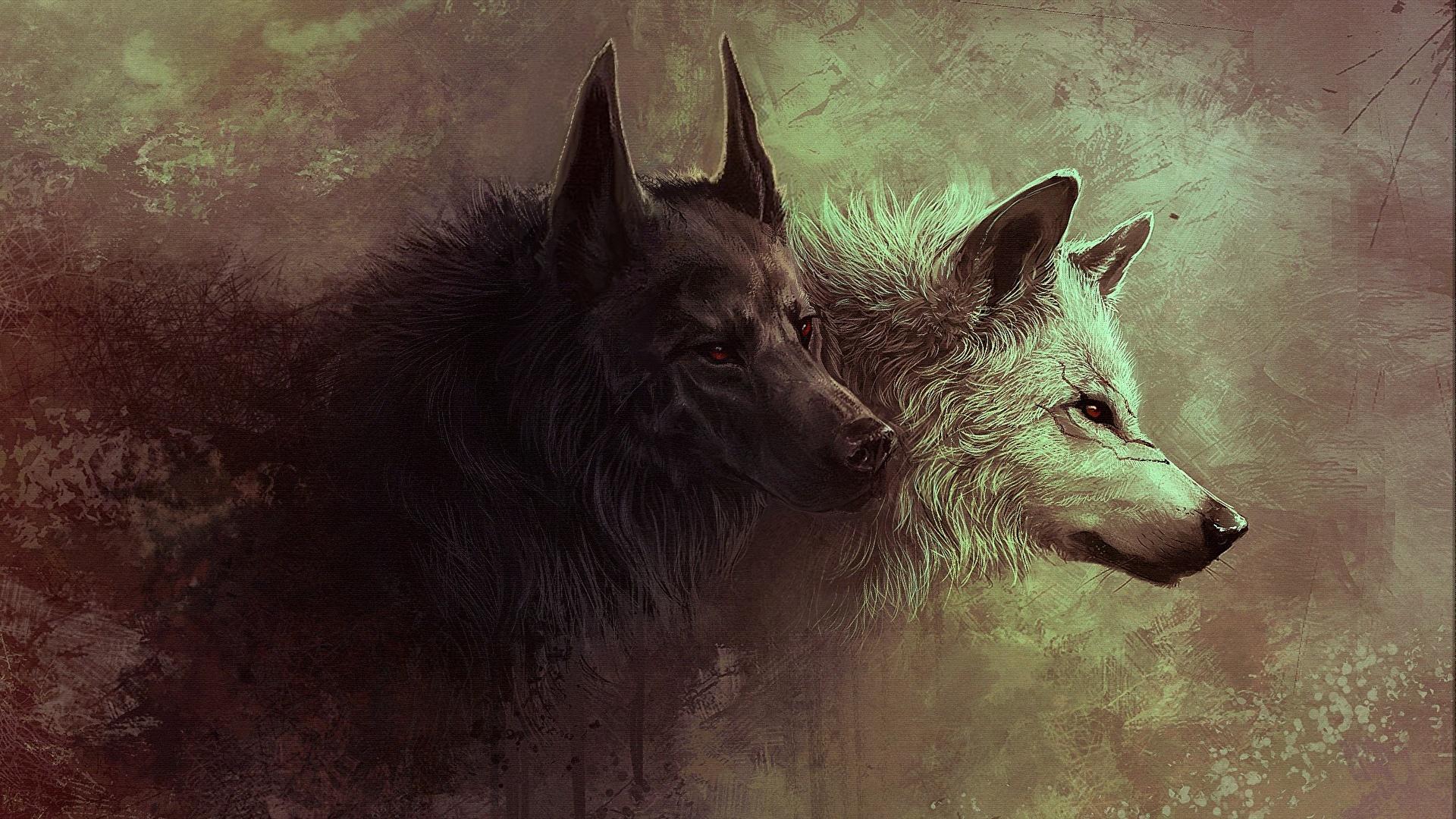 Anime Black and Red Wolf Wallpapers - Top Free Anime Black and Red Wolf ...