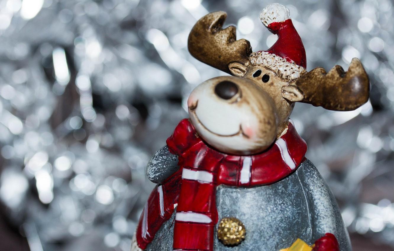 Christmas Moose Wallpapers - Top Free Christmas Moose Backgrounds ...