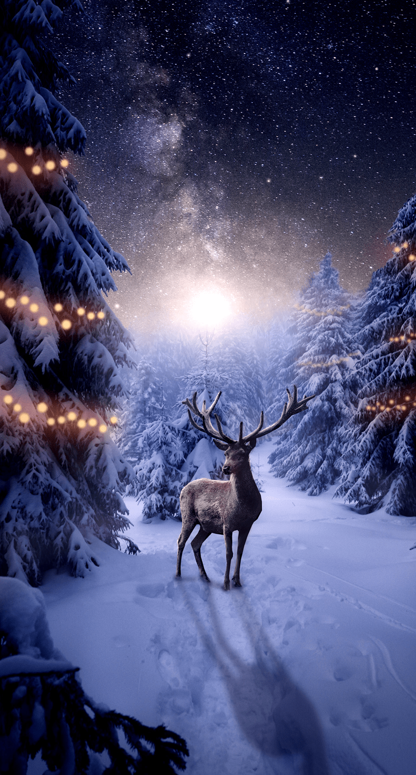 Christmas Moose Wallpapers - Top Free Christmas Moose Backgrounds ...