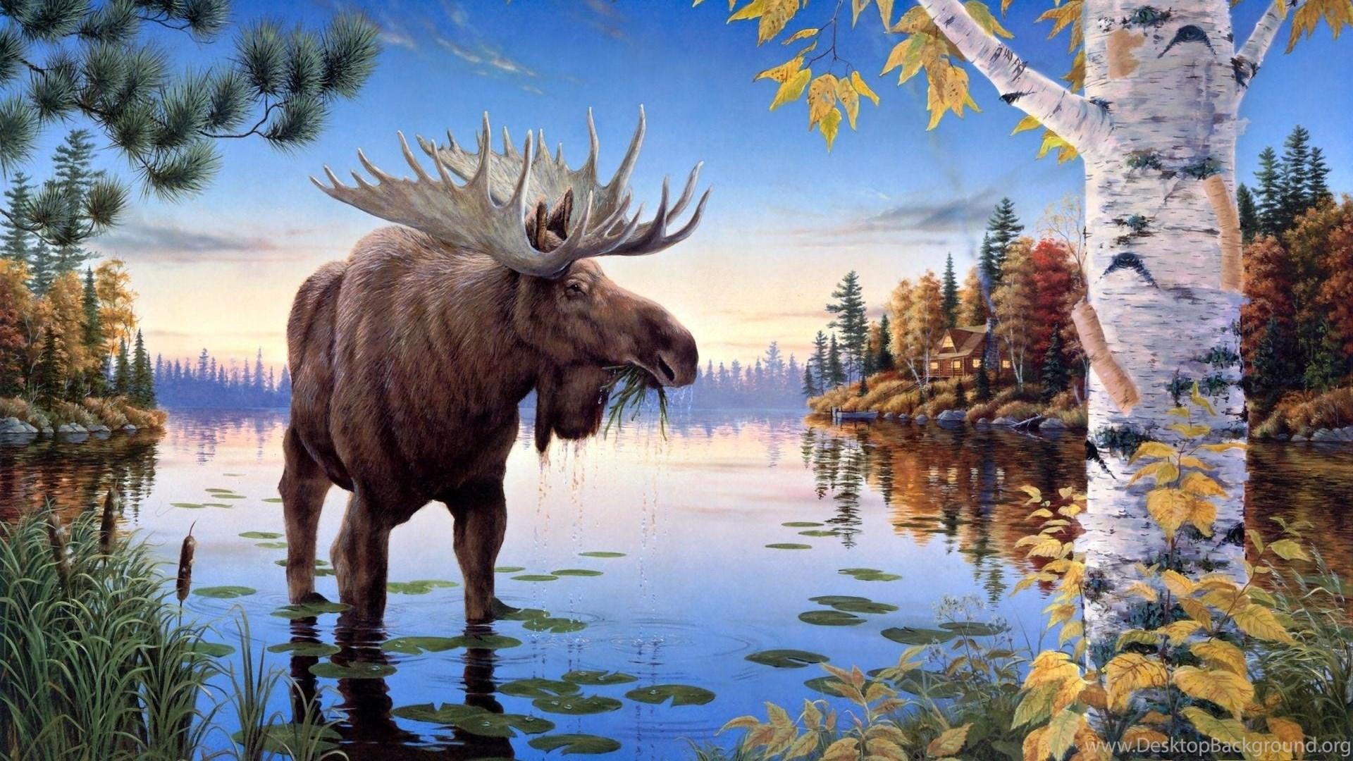 Christmas Moose Wallpapers - Top Free Christmas Moose Backgrounds ...