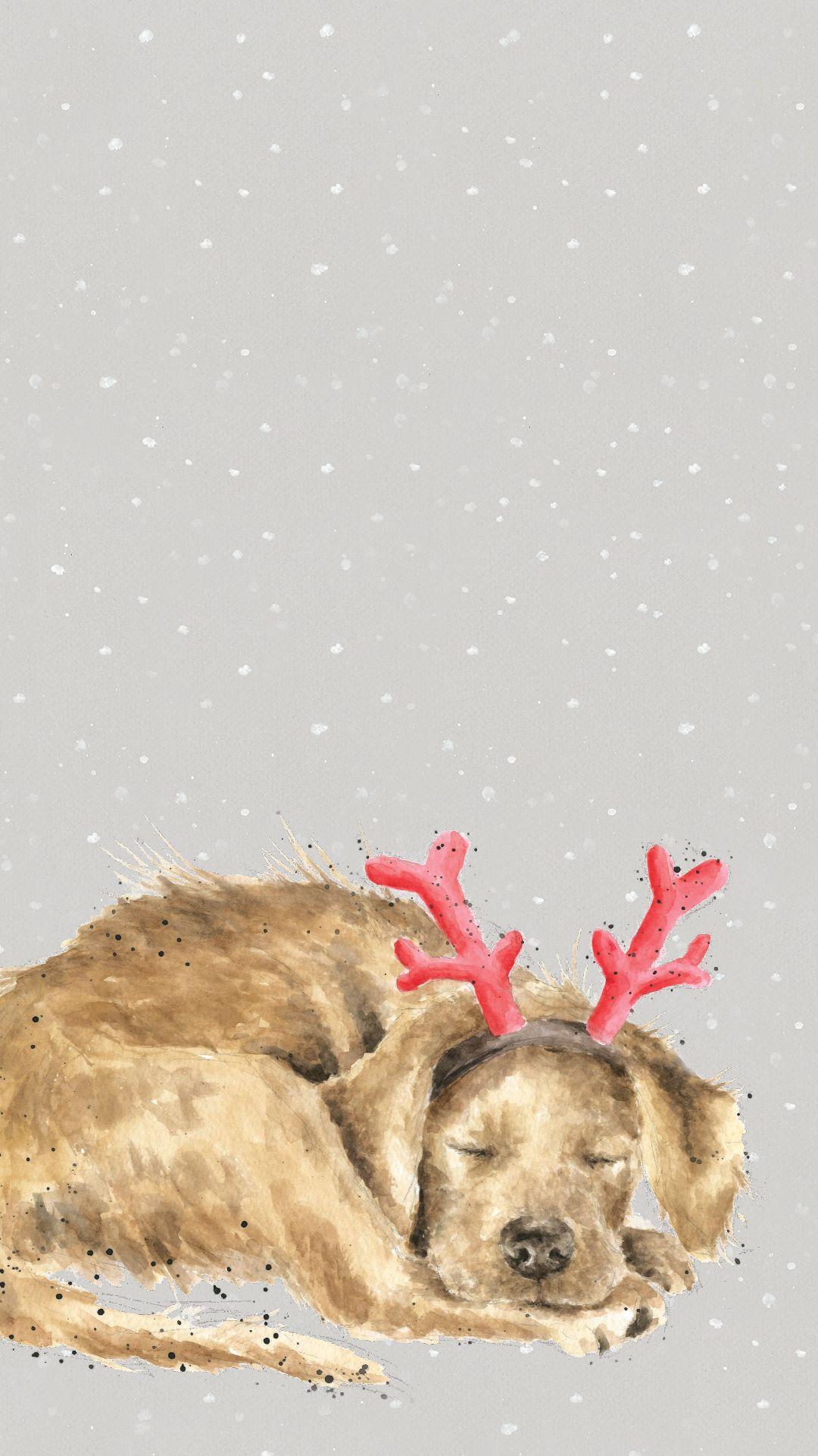 Christmas Moose Wallpapers - Top Free Christmas Moose Backgrounds ...