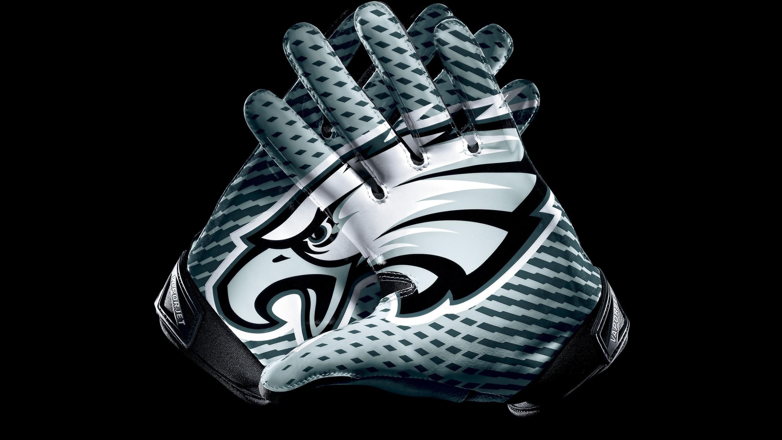 Philadelphia Eagles Computer Wallpapers - Top Free Philadelphia Eagles ...
