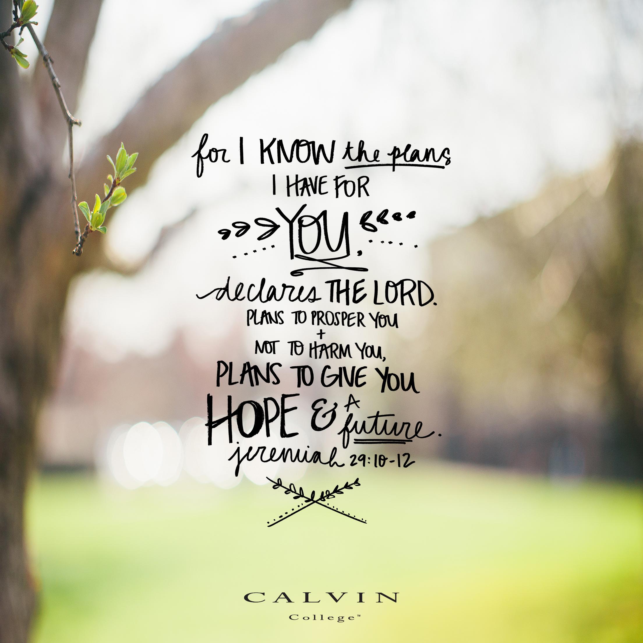 Bible Sayings Wallpapers - Top Free Bible Sayings Backgrounds ...