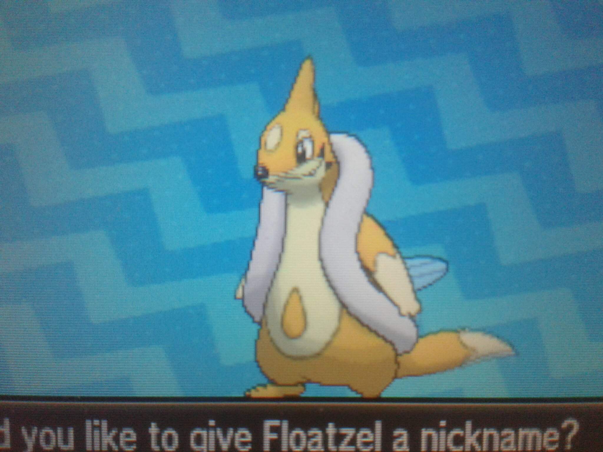 Floatzel Wallpapers - Top Free Floatzel Backgrounds - WallpaperAccess