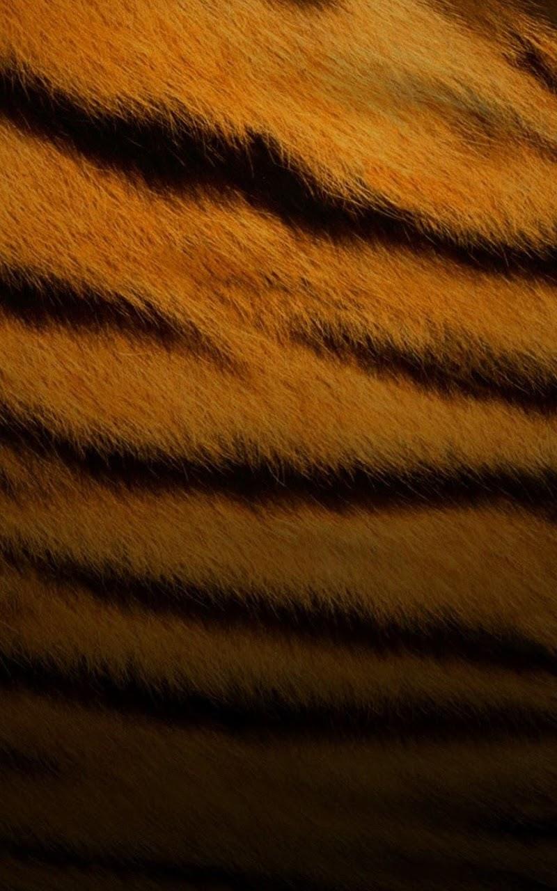 Tiger Pattern Wallpapers - Top Free Tiger Pattern Backgrounds ...