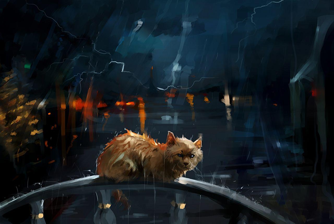 Rain Animal Wallpapers - Top Free Rain Animal Backgrounds - WallpaperAccess