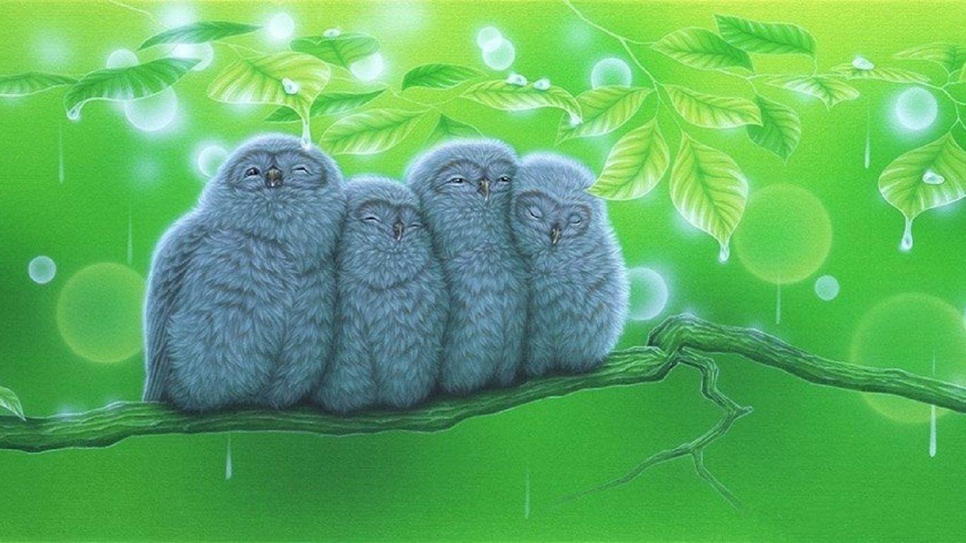 Rain Animal Wallpapers - Top Free Rain Animal Backgrounds - WallpaperAccess