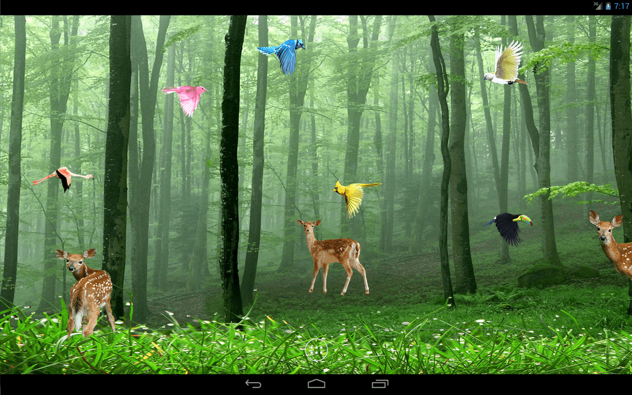 Rain Animal Wallpapers - Top Free Rain Animal Backgrounds - WallpaperAccess