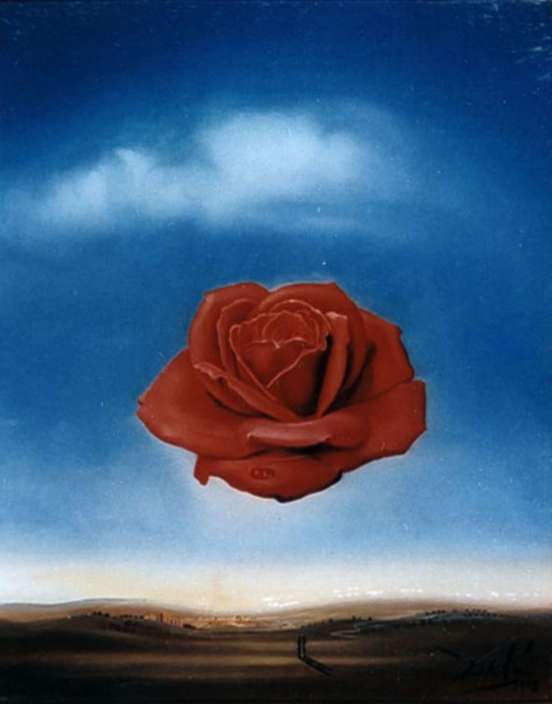 Dali Rose Wallpapers - Top Free Dali Rose Backgrounds - WallpaperAccess