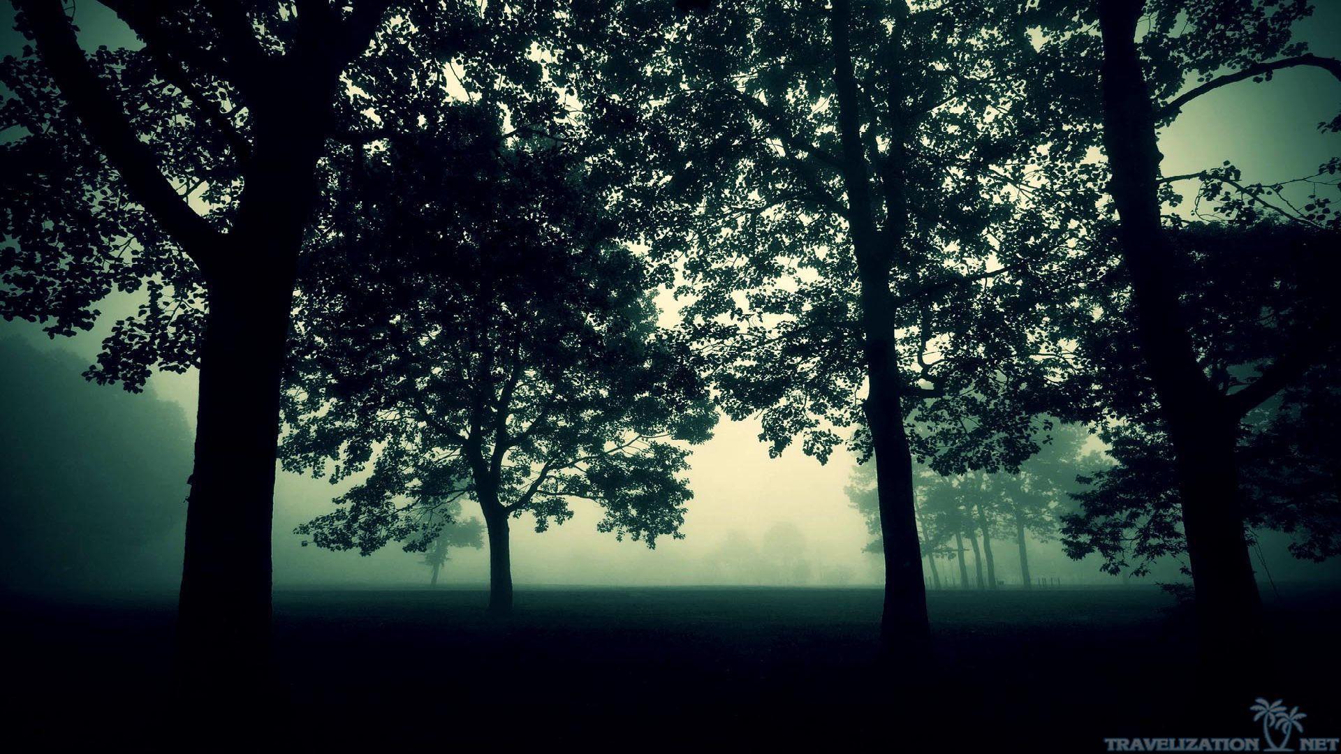 Dark Nature Photography Wallpapers - Top Free Dark Nature Photography ...