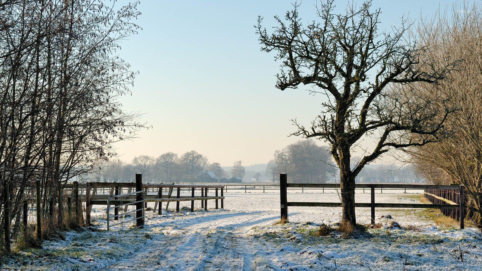 Snow Field Wallpapers - Top Free Snow Field Backgrounds - WallpaperAccess