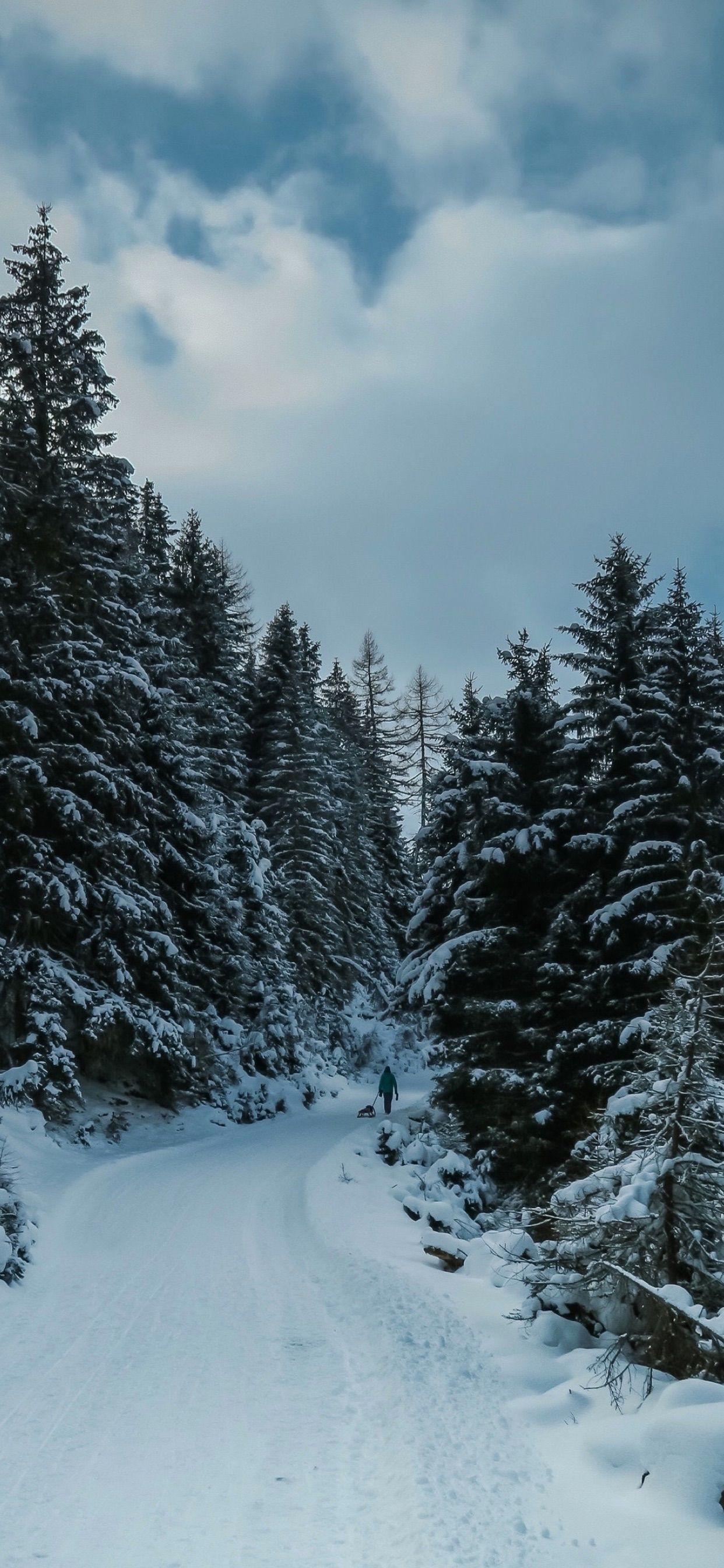 Winter Snow iPhone Wallpapers - Top Free Winter Snow iPhone Backgrounds ...