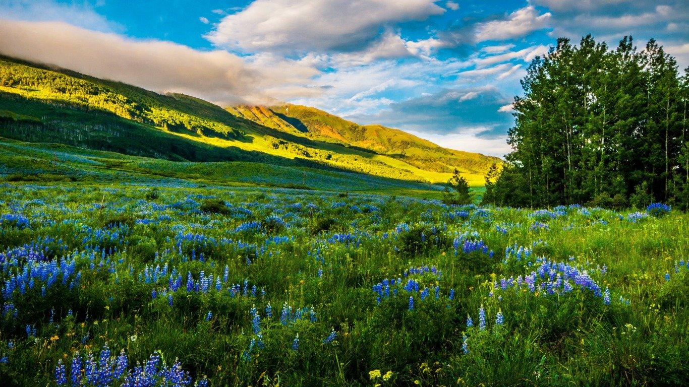 Meadow Desktop Wallpapers - Top Free Meadow Desktop Backgrounds ...