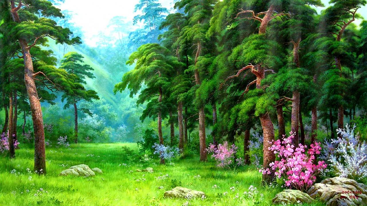 Forest Meadow Wallpapers - Top Free Forest Meadow Backgrounds ...