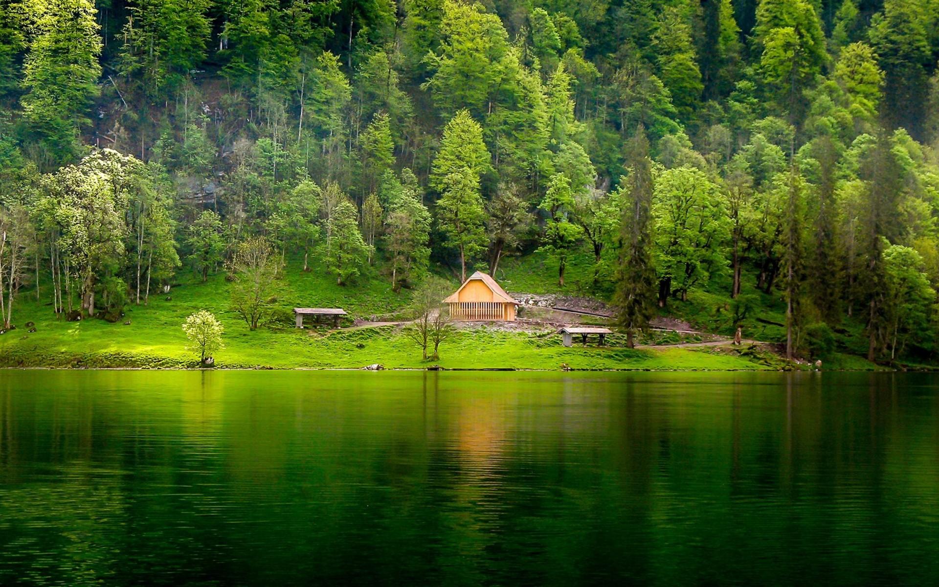 Forest Meadow Wallpapers - Top Free Forest Meadow Backgrounds ...