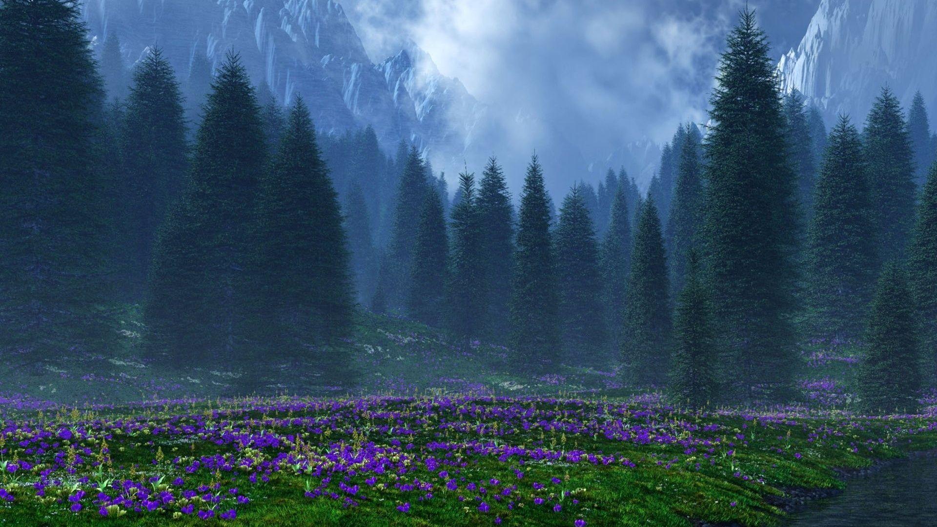 Forest Meadow Wallpapers - Top Free Forest Meadow Backgrounds ...
