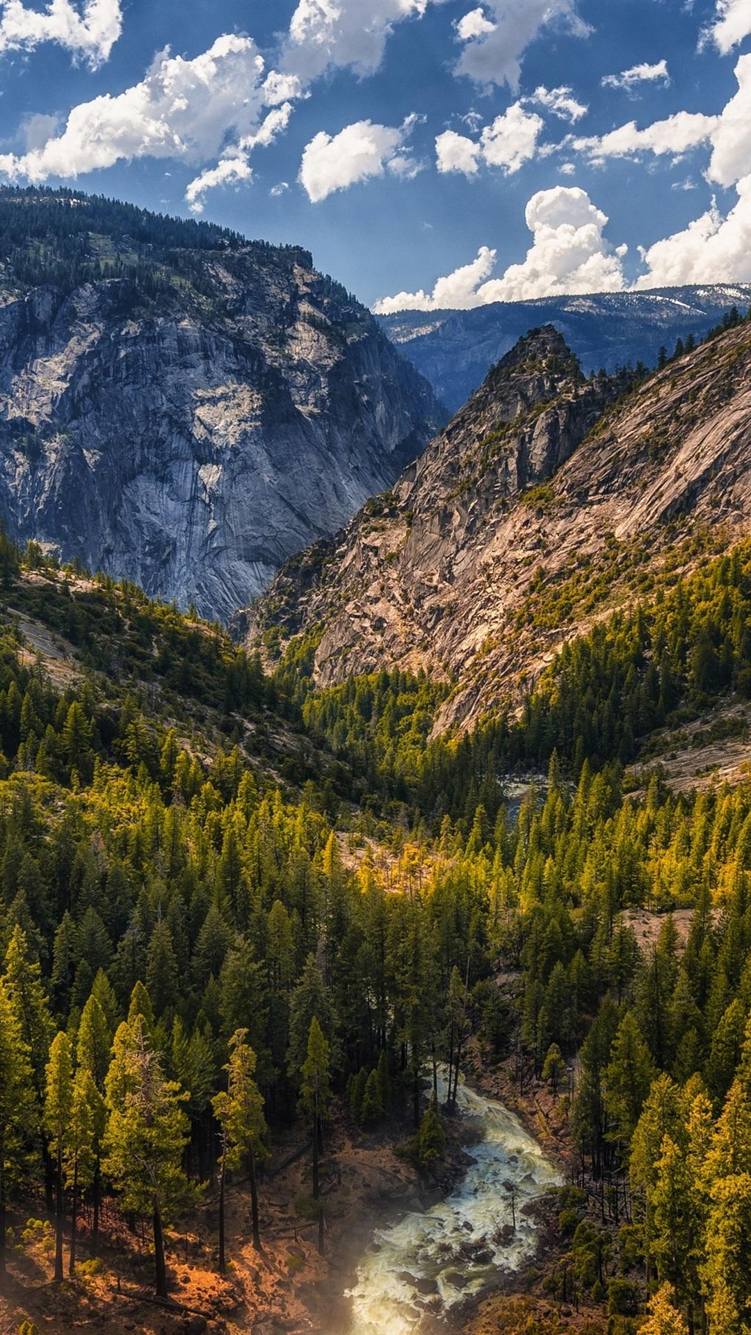 Forest Meadow Wallpapers - Top Free Forest Meadow Backgrounds ...