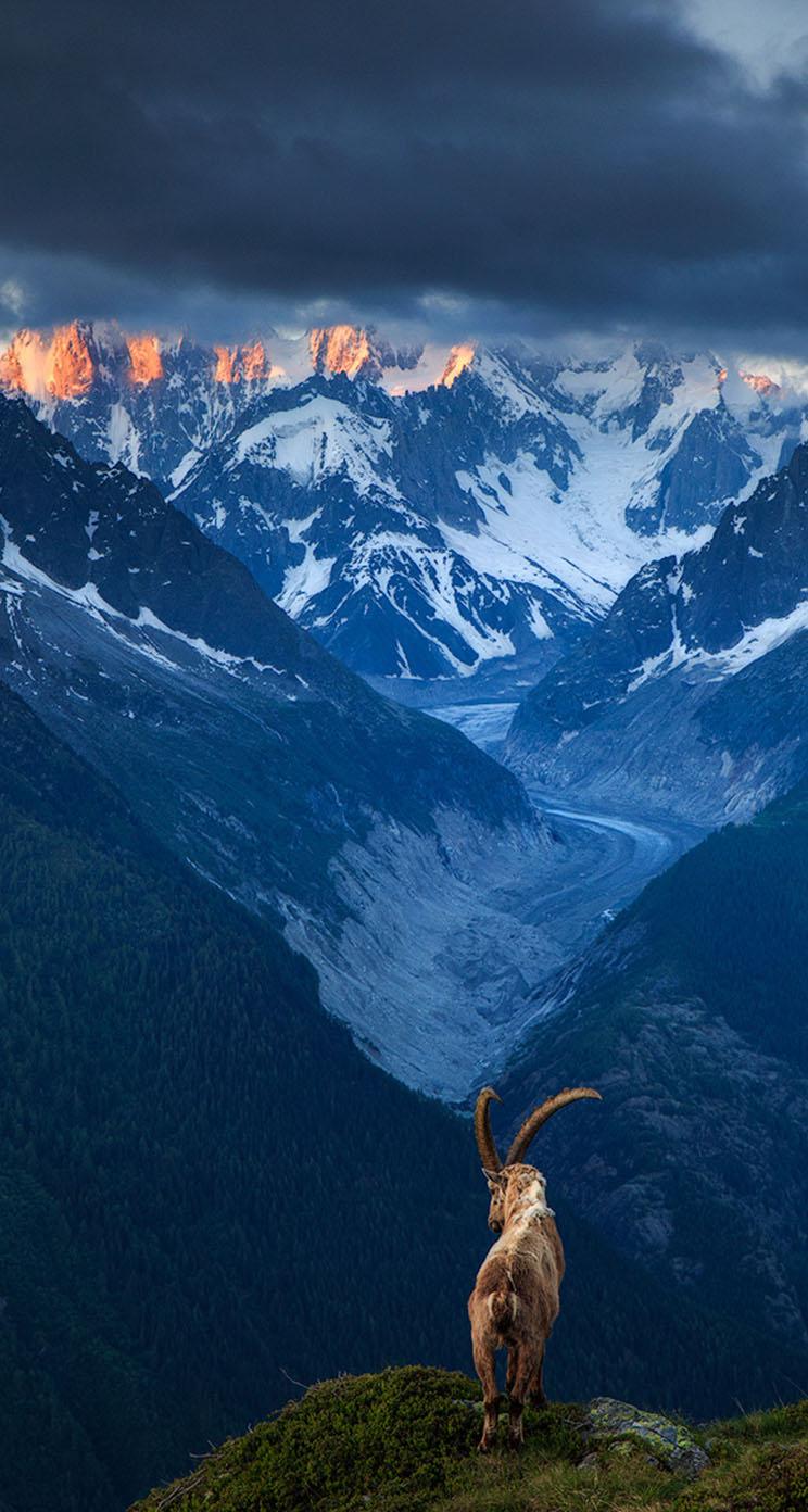 Boss iPhone Wallpapers - Top Free Boss iPhone Backgrounds - WallpaperAccess