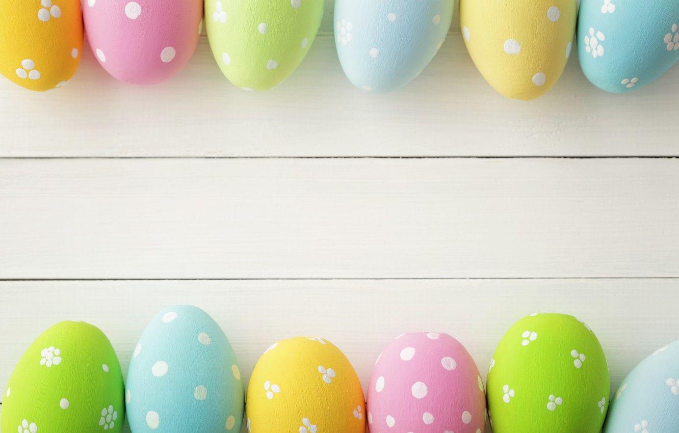 Cute Easter Spring Wallpapers - Top Free Cute Easter Spring Backgrounds ...