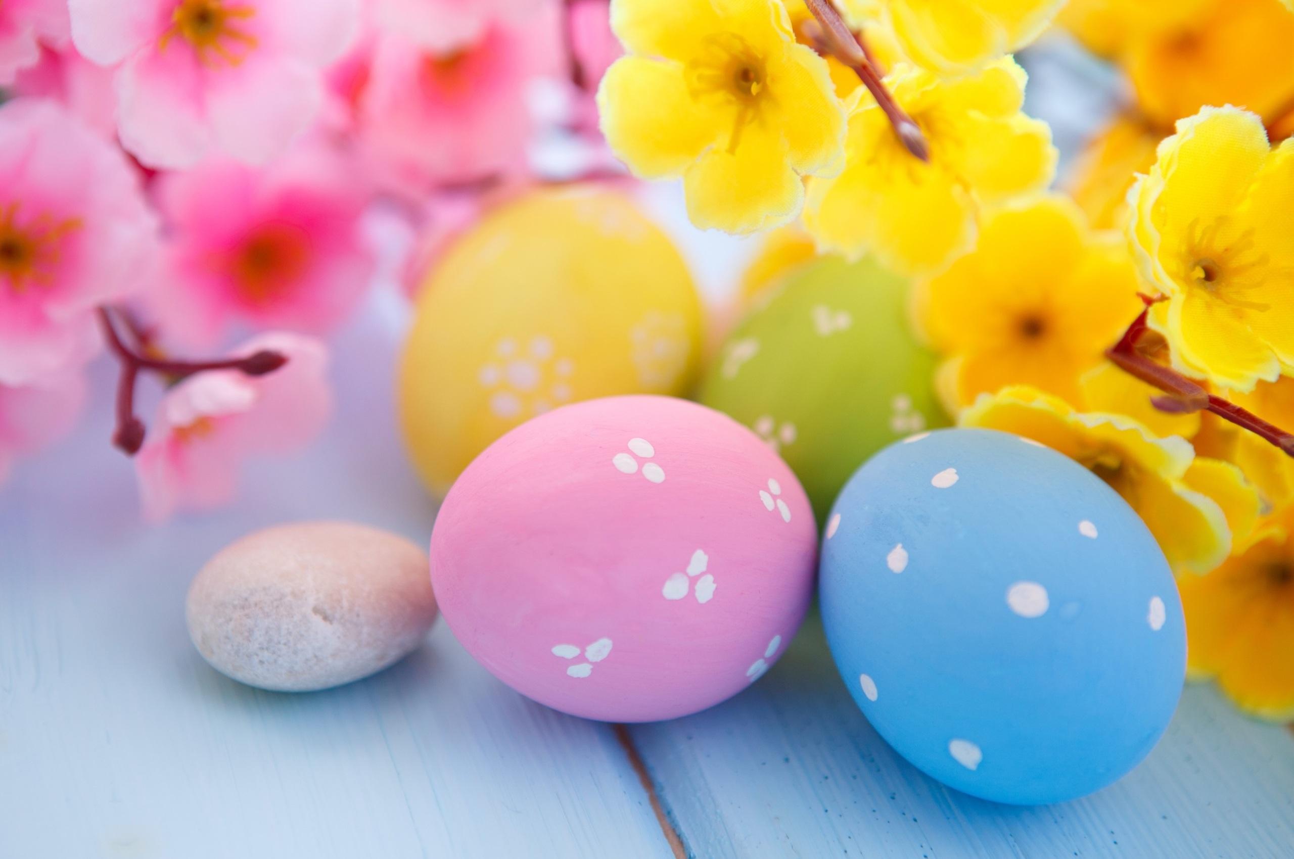 Cute Easter Spring Wallpapers - Top Free Cute Easter Spring Backgrounds ...