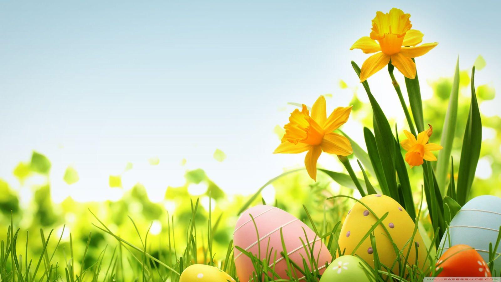 Cute Easter Spring Wallpapers - Top Free Cute Easter Spring Backgrounds ...