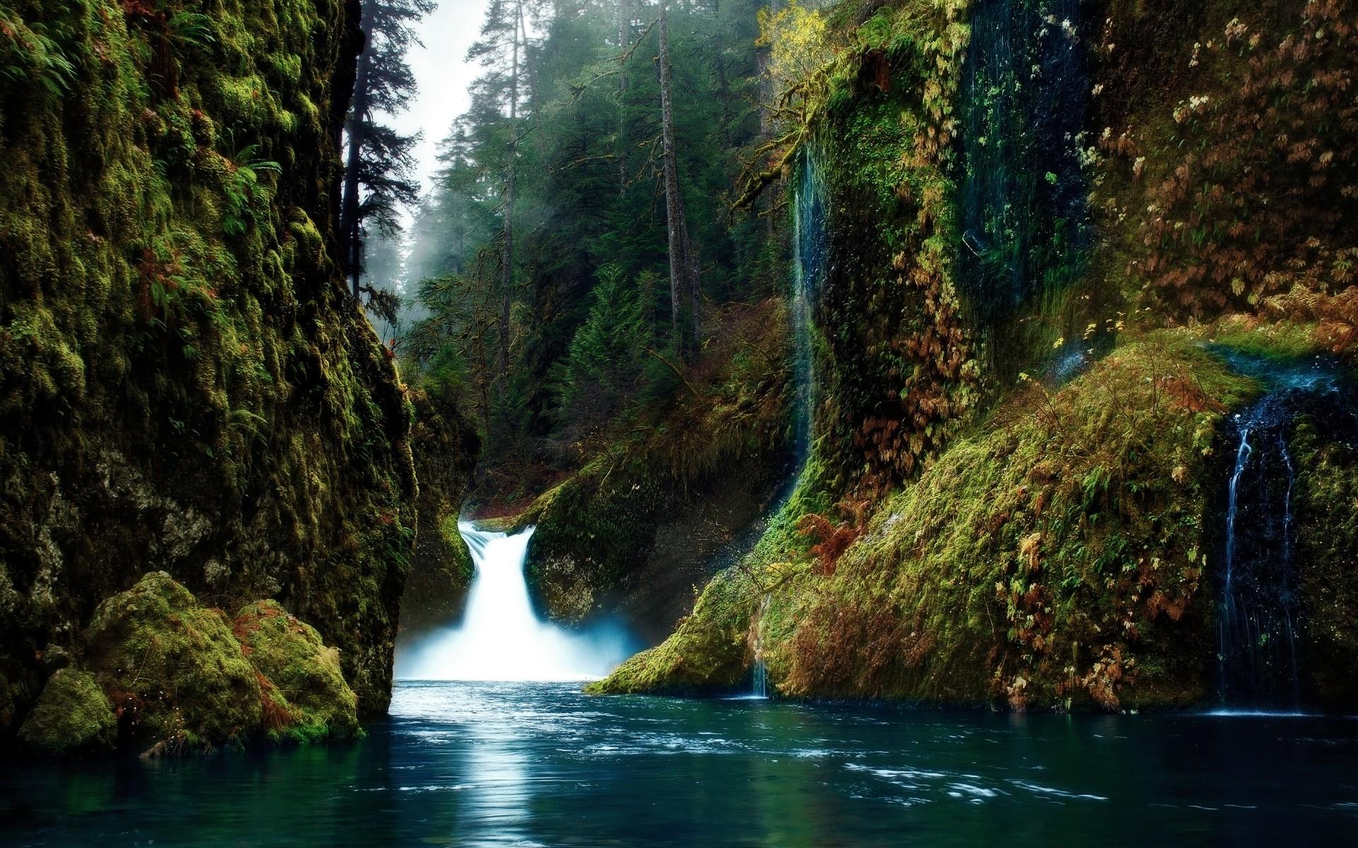 Jungle River Wallpapers - Top Free Jungle River Backgrounds ...