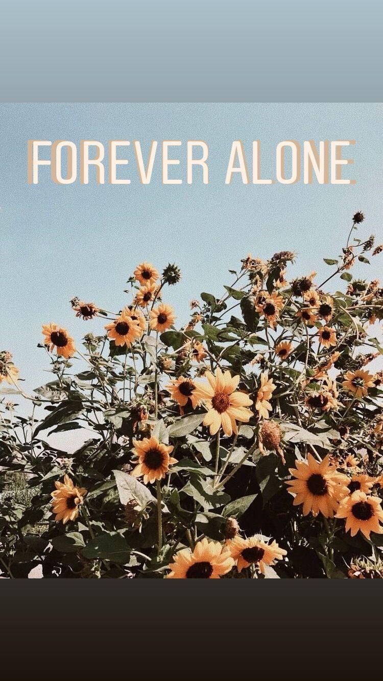 Aesthetic Forever Alone Wallpapers - Top Free Aesthetic Forever Alone ...