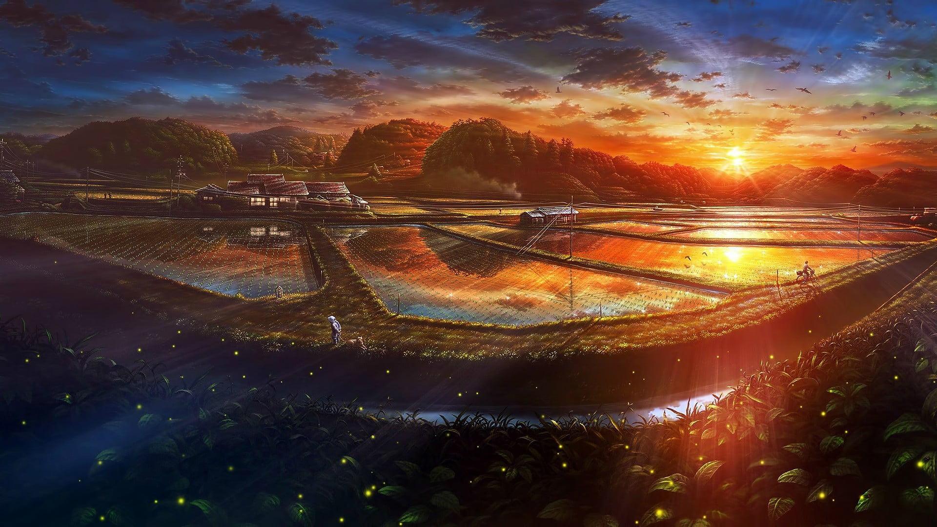 Sunset Anime HD Wallpapers - Top Free Sunset Anime HD Backgrounds ...