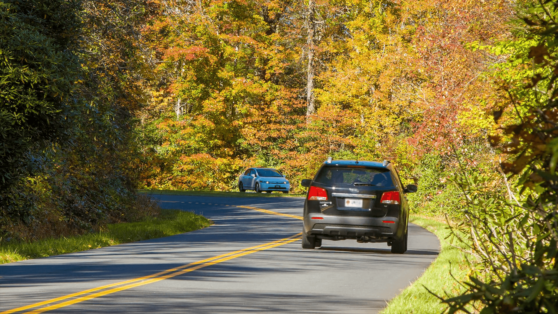 Blue Ridge Mountains Fall Wallpapers - Top Free Blue Ridge Mountains ...